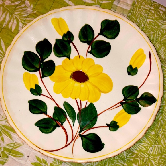 blue ridge southern pottery | Dining | Vintage Blue Ridge Hand Painted ...